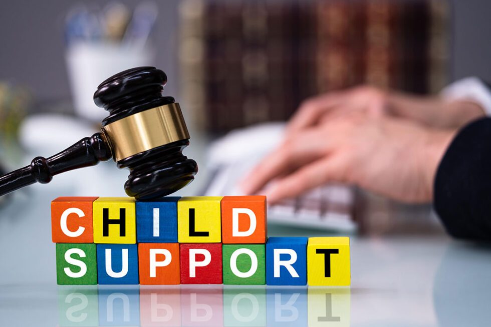 What Does Child Support Cover? A Comprehensive Guide